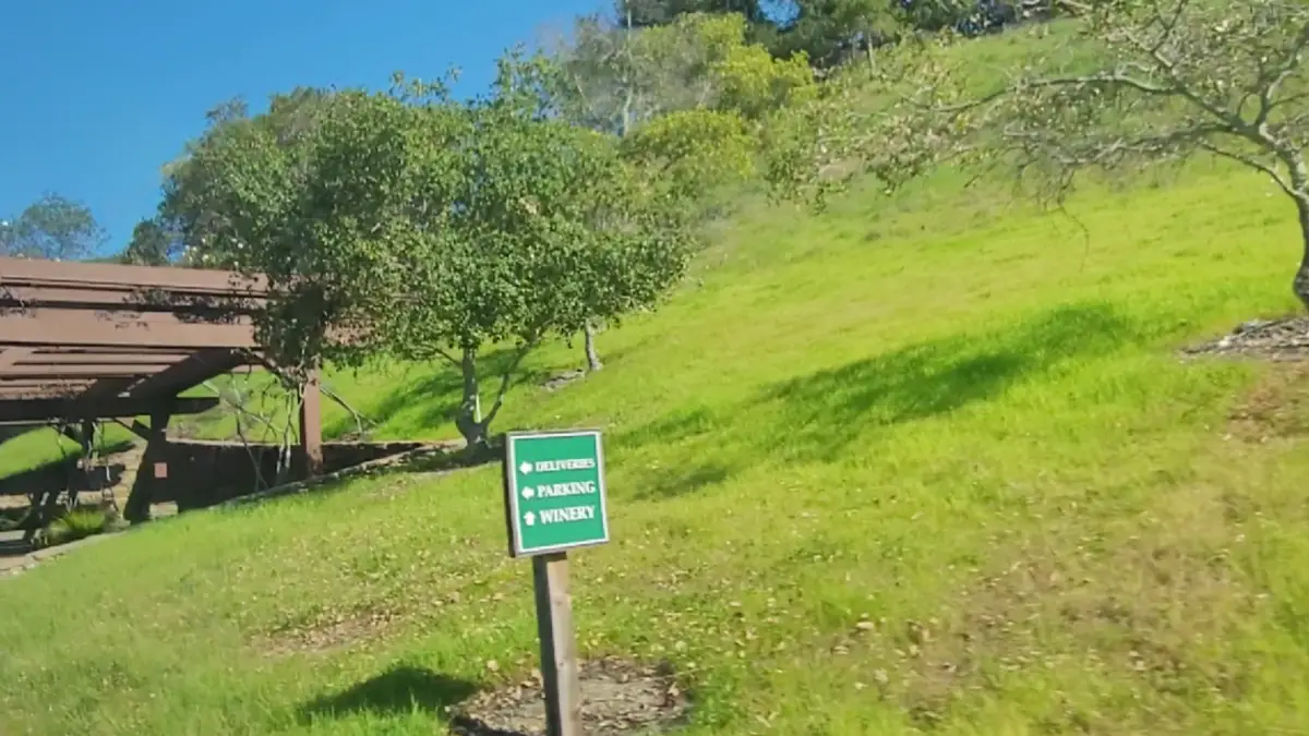 Skywalker Ranch Tour Review [Cost, How-To Visit, and FAQs] – Tales From ...