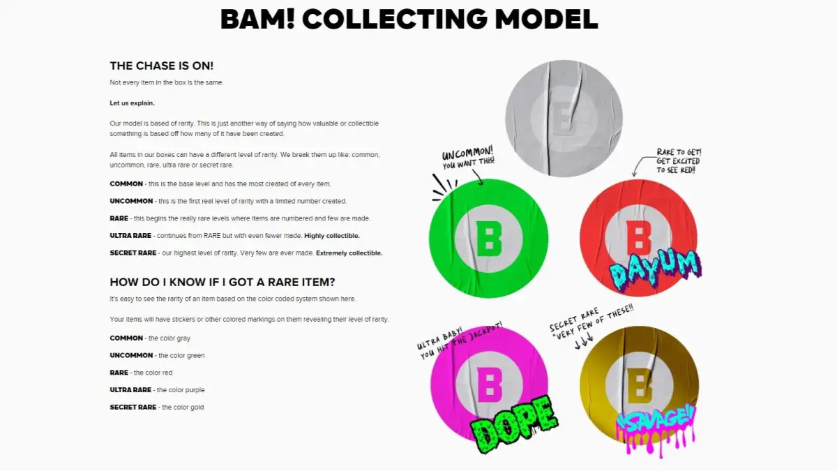 The BAM! Box Review: All About the Subscription Box Service – Tales ...