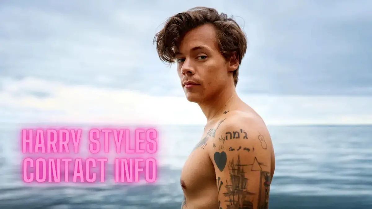 How to Contact Harry Styles [Fan Mail, Email, Phone, & DM] – Tales From ...