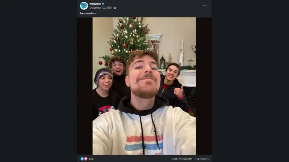 Contact MrBeast (Jimmy Donaldson) Email, Address, Phone, DM [2024 ...