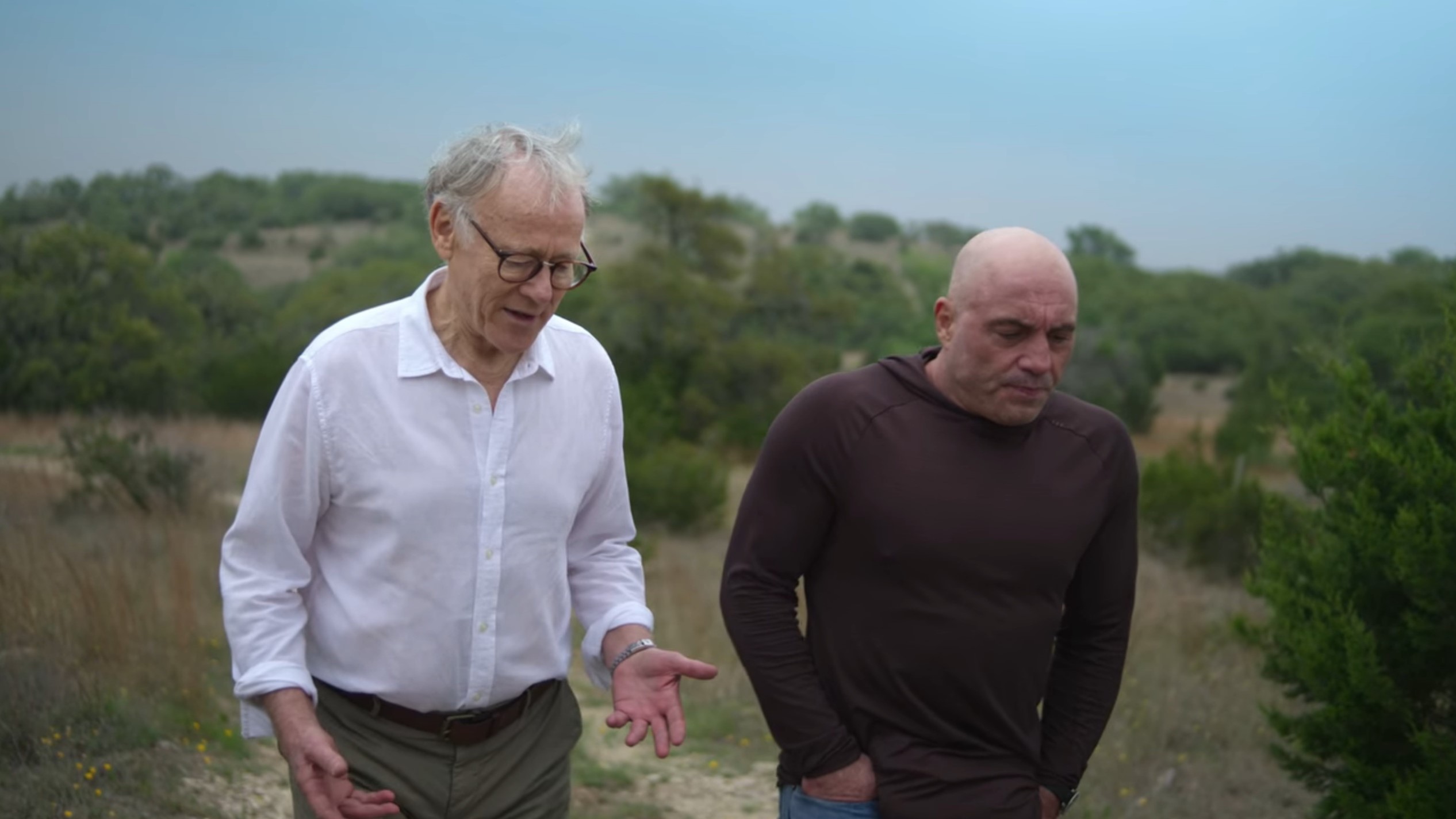 Contact Joe Rogan [Address, Email, Phone, DM, Fan Mail] – Tales From ...