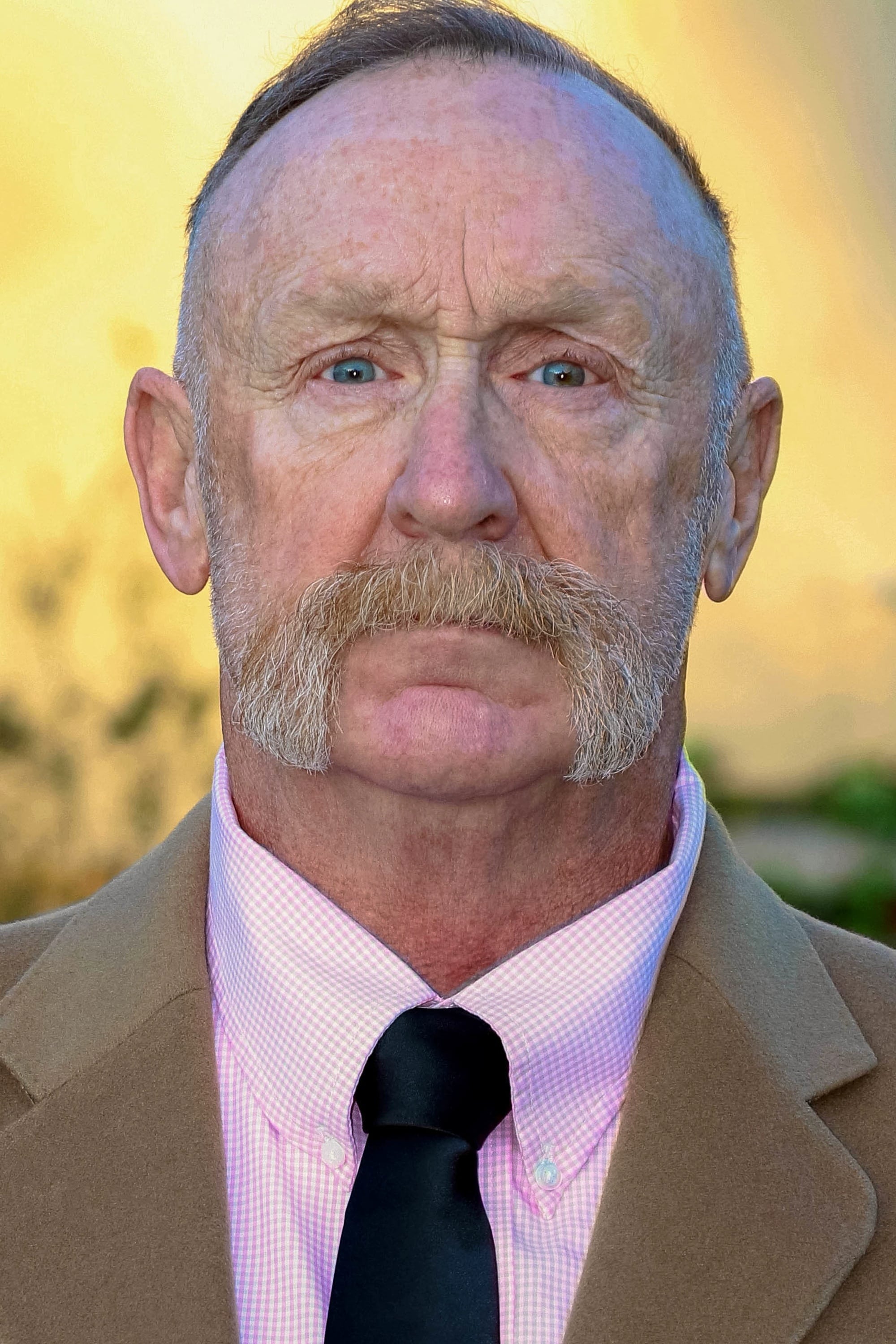 Al_Burke_profile-1 – Tales From The Collection