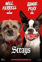 Steve Swisher Contact Info: [Fan Mail, Business, Autographs, & More ...