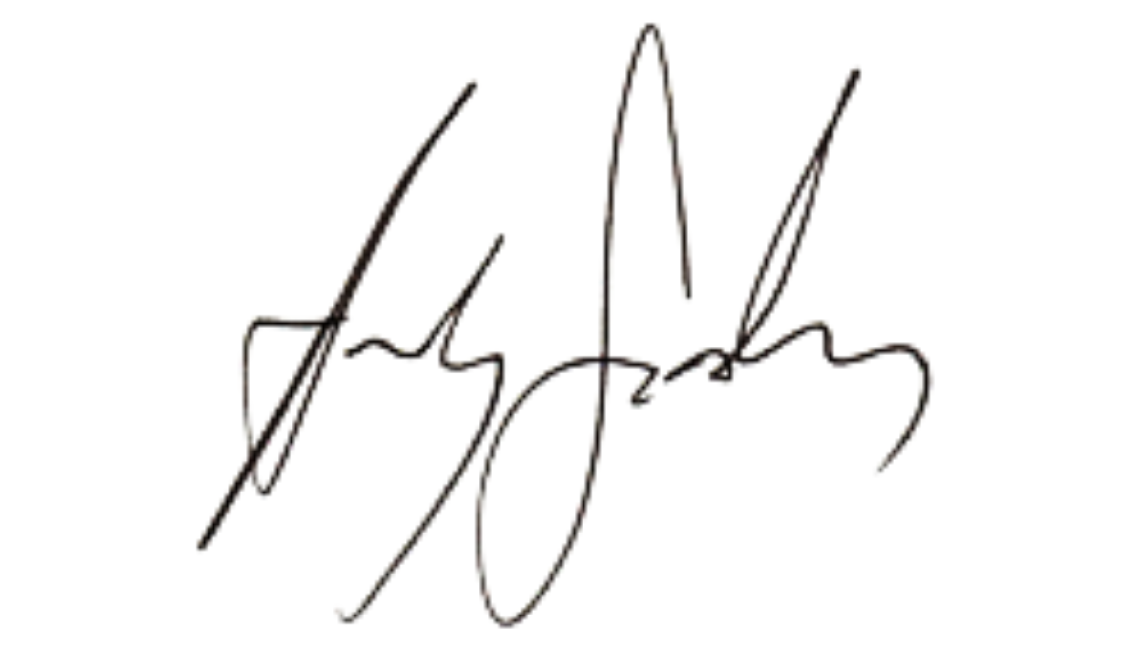 Andy Samberg Autograph – Tales From The Collection